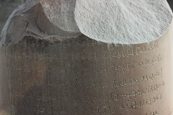 in search of buddha’s sarnath: the traveller’s guide | rama toshi arya ...