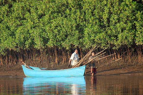 the backwaters and fort in aldona | rama toshi arya's blog