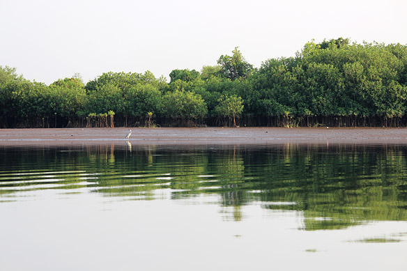 the backwaters and fort in aldona | rama toshi arya's blog