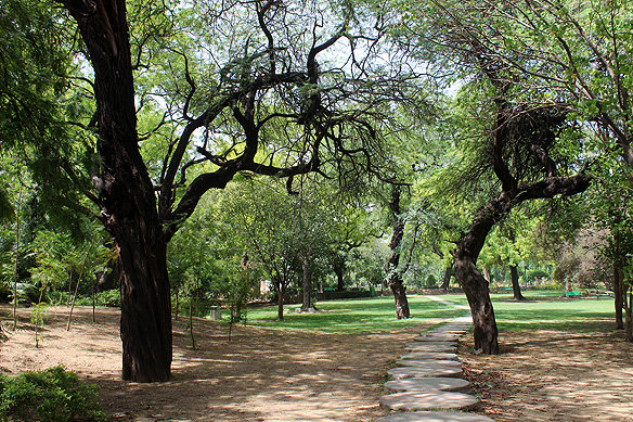 lodi garden: eleven monuments and 7,000 trees | rama toshi arya's blog