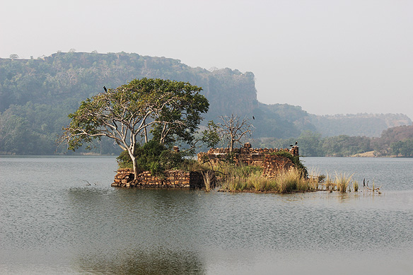 travel diaries: in search of the bengal tiger at ranthambore | rama ...