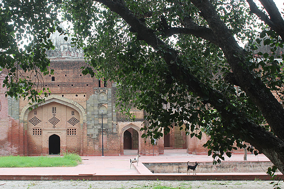 photo essay: sirhind, the lost atlantis of punjab | rama toshi arya's blog