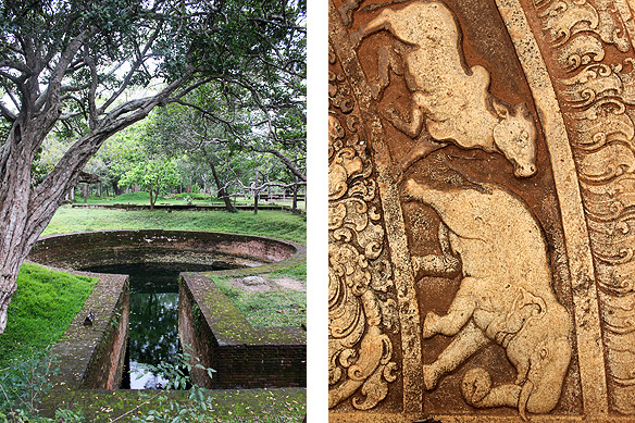 the complete travel guide to the treasures of sri lanka’s cultural ...